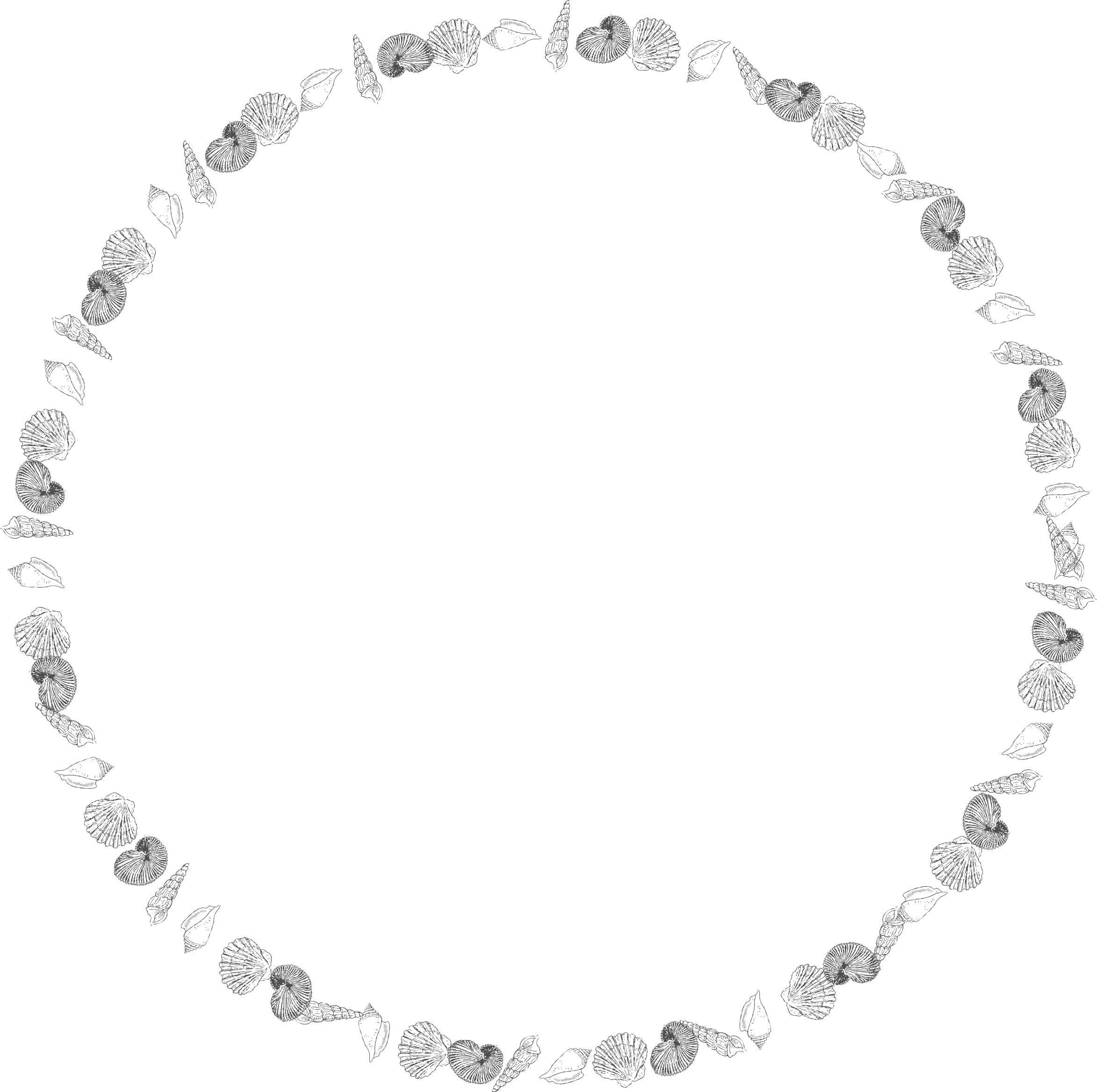 Download This Free Icons Png Design Of Round Shells Frame PNG Image ...