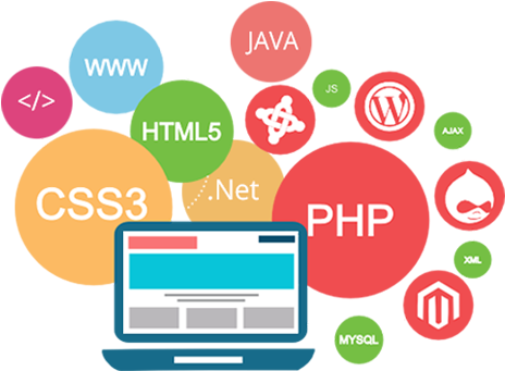 Why Choose Us - Custom Web Development - Free Transparent PNG Download ...