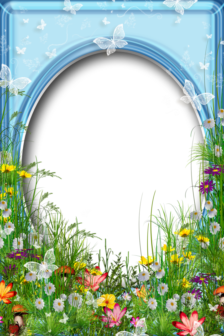Frame Clipart Spring - Summer Frame Png - Free Transparent PNG Download ...