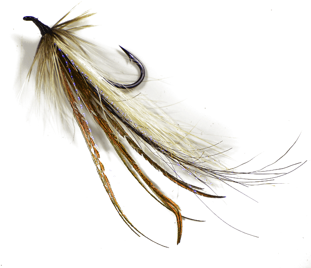 Fish Fly Png - Fly Fishing - Free Transparent PNG Download - PNGkey