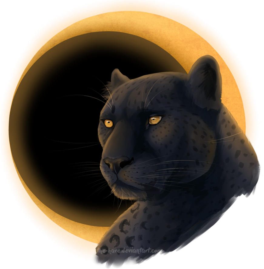 Download Sal - Moon PNG Image with No Background - PNGkey.com