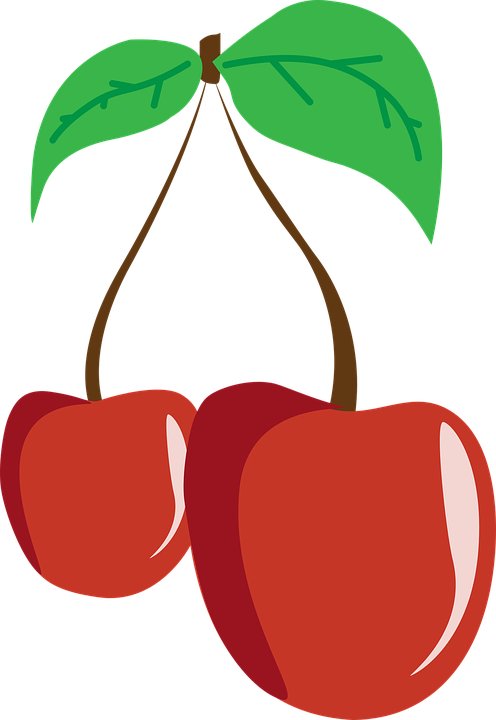 Download Cherry Clipart Ceri - Vektor Buah Ceri PNG Image with No ...