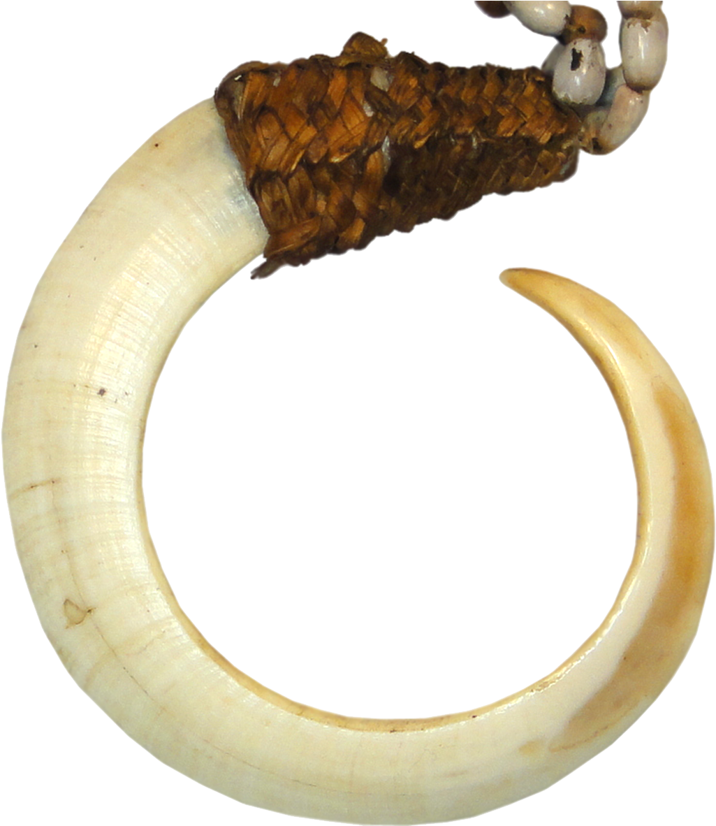 Papua New Guinea, Bena-bena Tribe, Boar Tusk On A String - Traditional ...