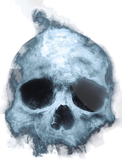 Download Mj Gardner - Soulweb PNG Image with No Background - PNGkey.com