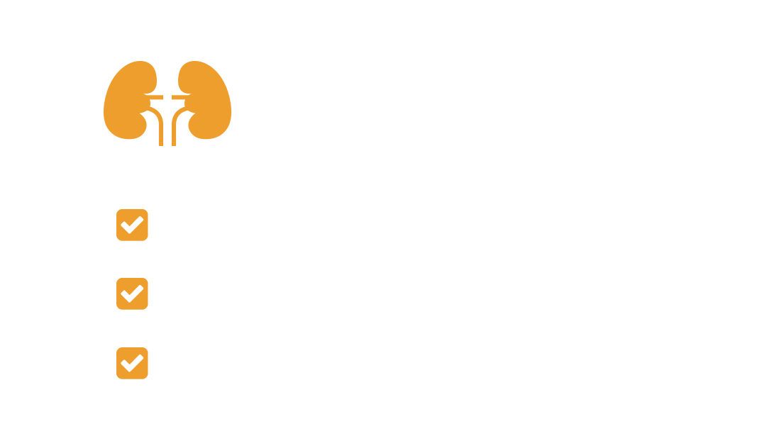 Download Test The Health Of Kidneys, Shows Check Mark Next To - Kidney ...
