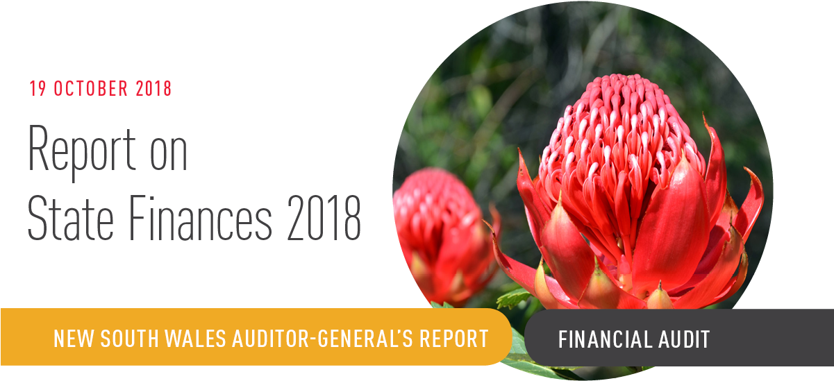 Download Website Banner For The Auditor-general Report On State ...