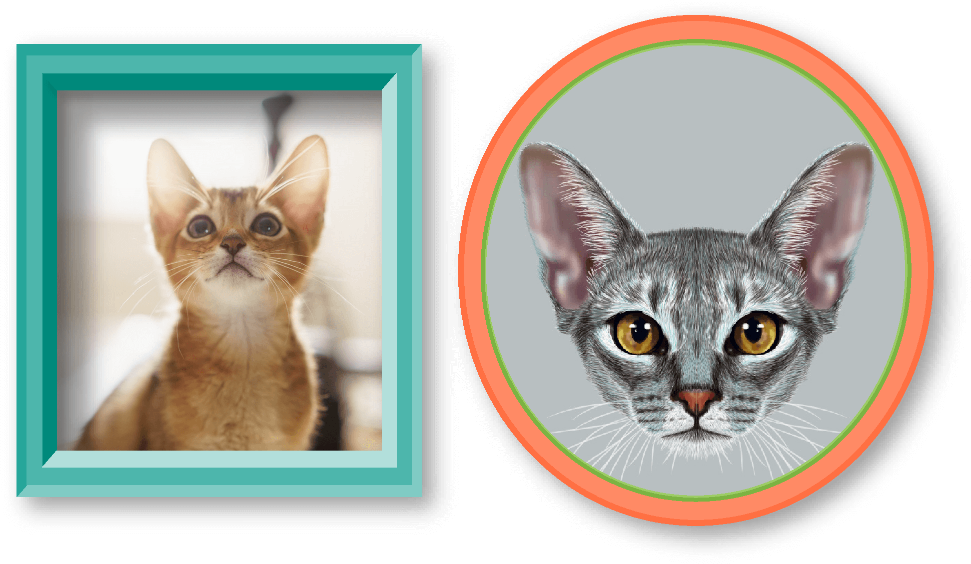 Abyssinian Cat - Art Print: Ant Art19's Illustrative Portrait Of ...