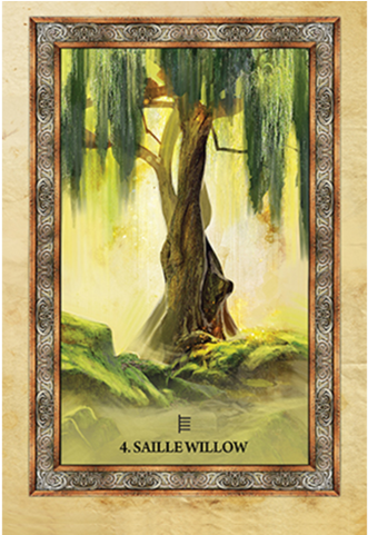 Download Celtic Tree Oracle - Celtic Tree Oracle By Sharlyn Hidalgo PNG ...