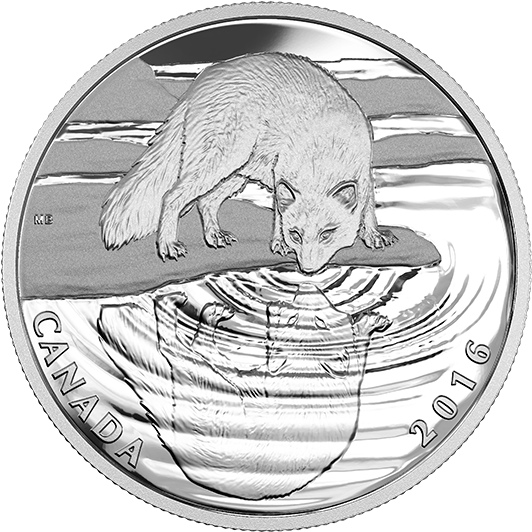 Download Reflections Of Wildlife - 2016 Fine Silver 10 Dollar Coin ...