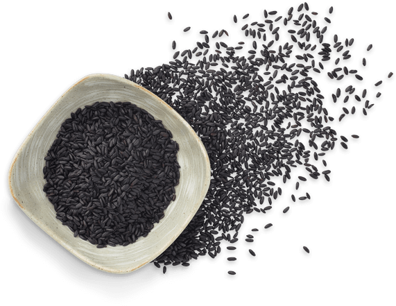 Download Black Rice - Black Rice Png PNG Image with No Background ...