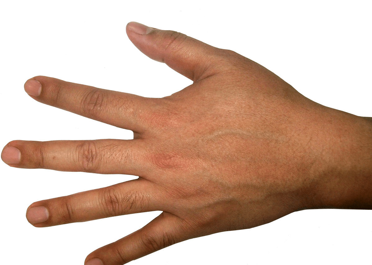 Five Finger Hand Png Image Purepng Free Transparent - Human Hand ...