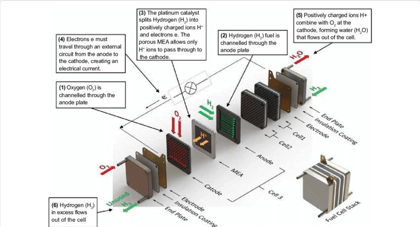 Download Layout And Operation Of A Typical Pem Fuel Cell Stack - Fuel ...