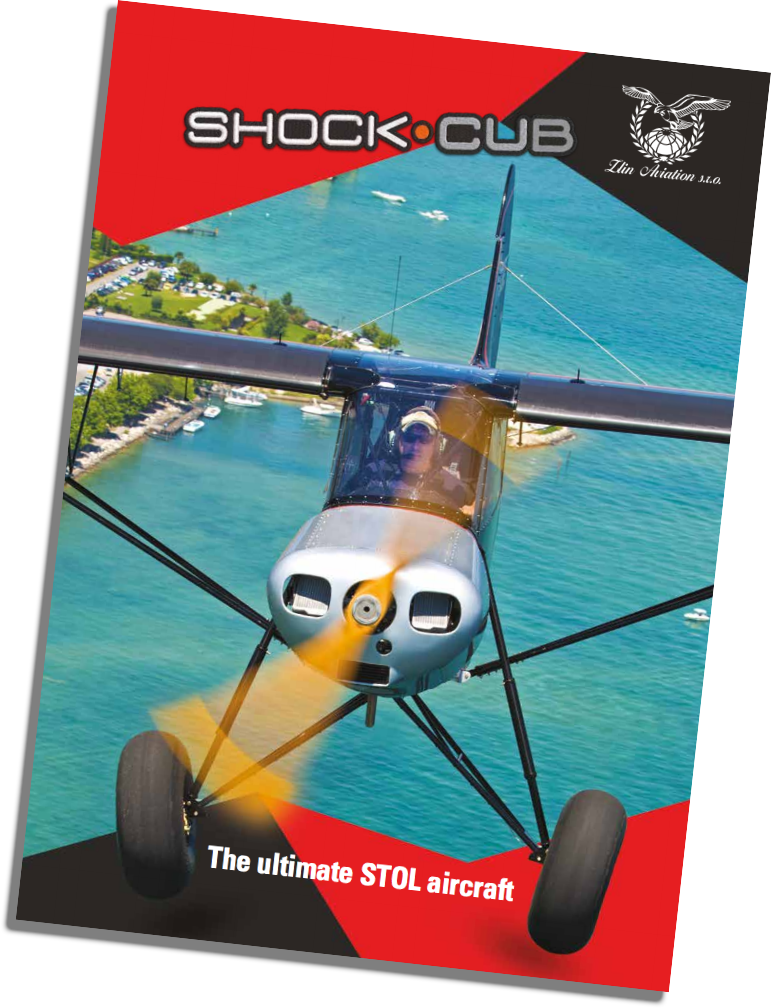 Download Download Shock Cub Brochure - Brochure PNG Image with No ...