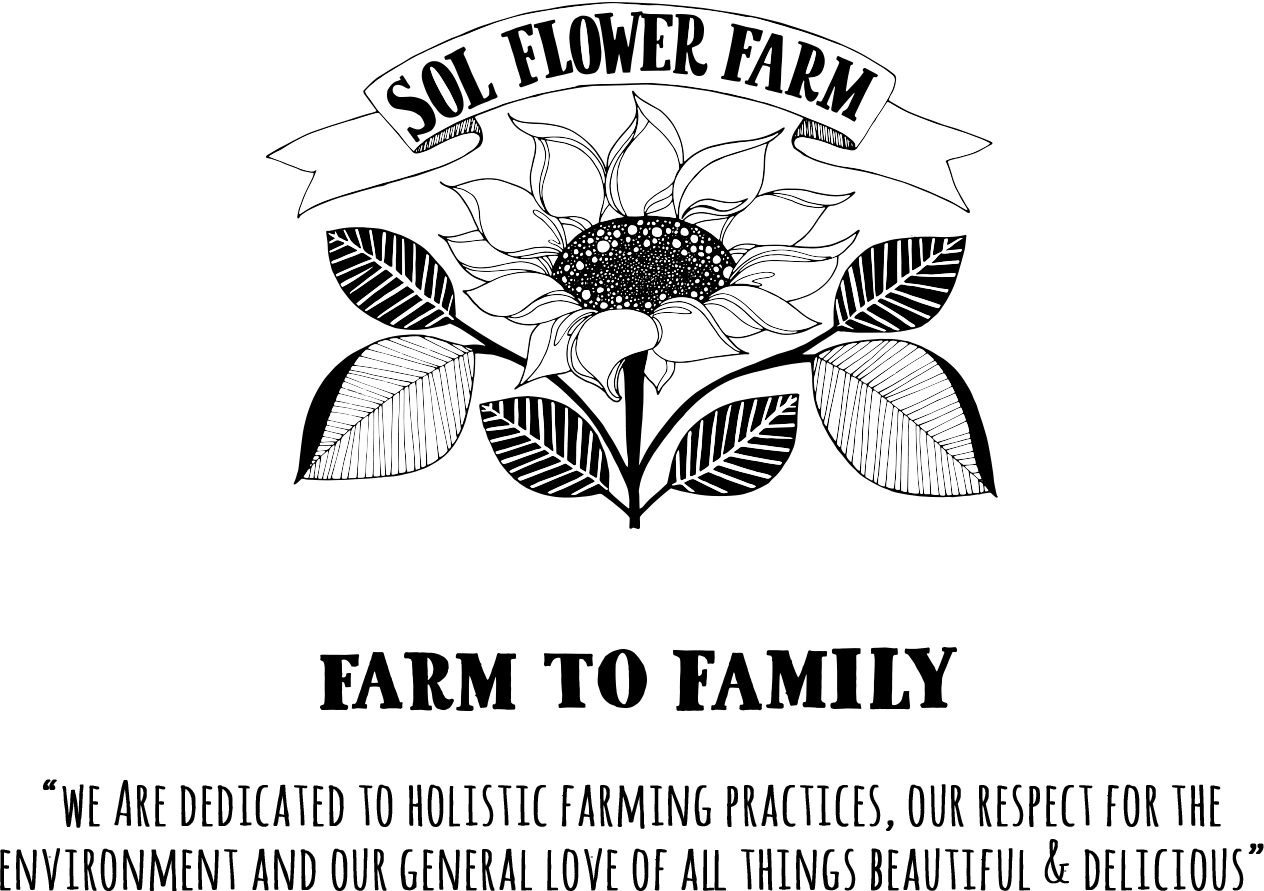 Download Sol Farm Illustration PNG Image with No Background - PNGkey.com