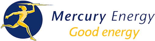 Download Mercury Energy PNG Image with No Background - PNGkey.com