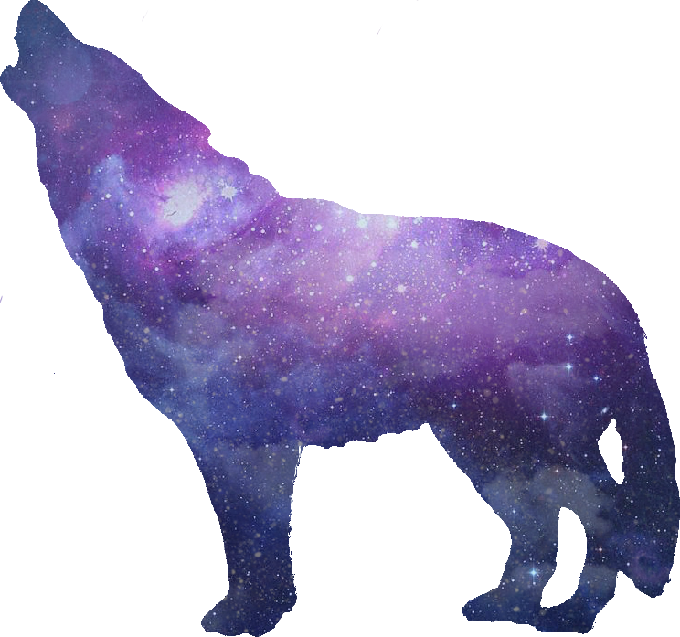 Download Tumblr Nyhwrwdrzl1rn25l6o1 1280 - Galaxy Wolf Gif PNG Image ...