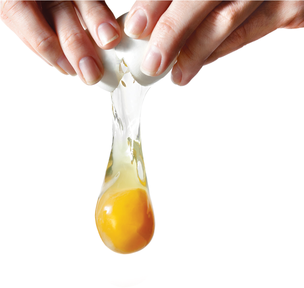 Download Egg-open PNG Image with No Background - PNGkey.com