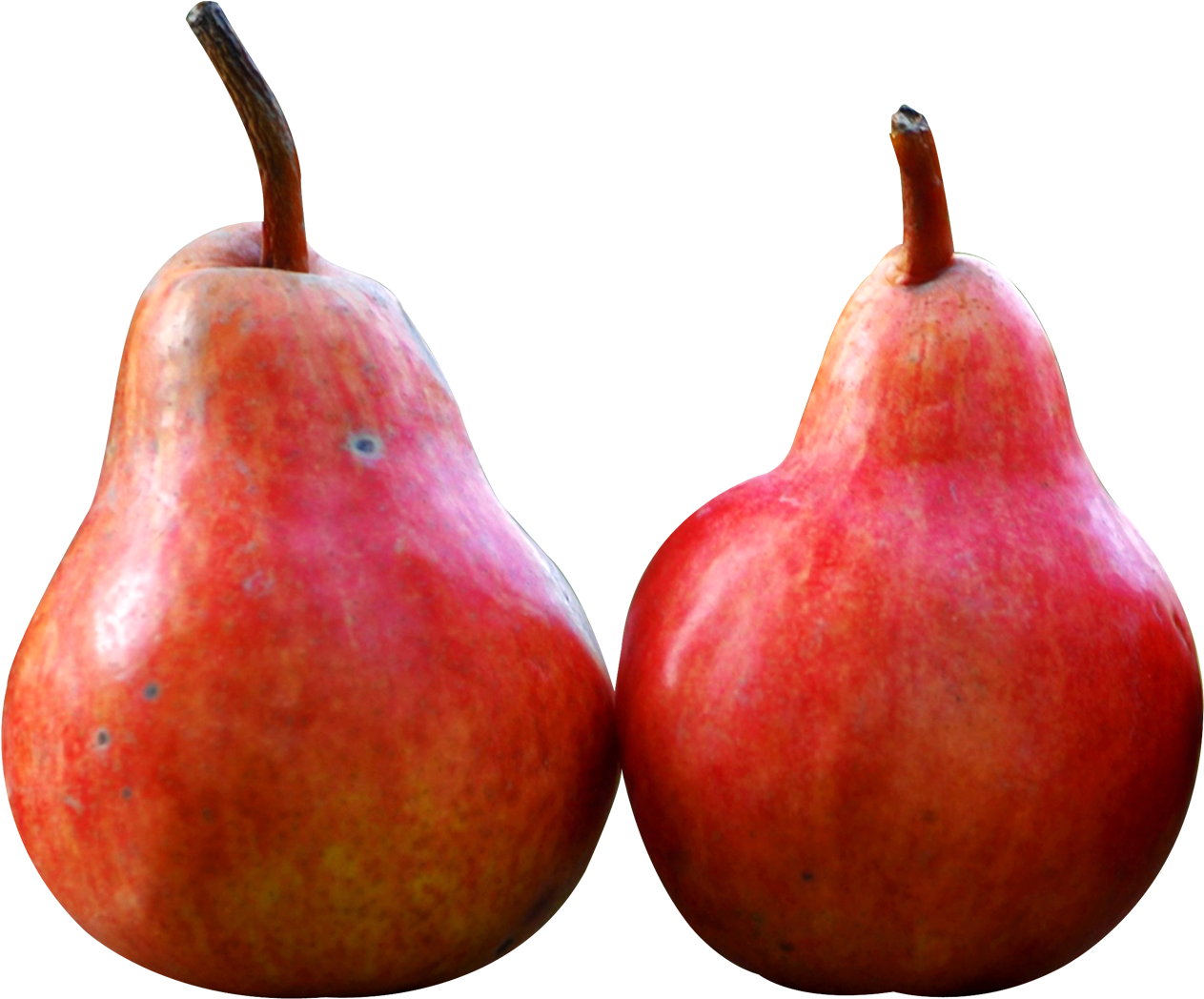Download Red Pear Png PNG Image with No Background - PNGkey.com