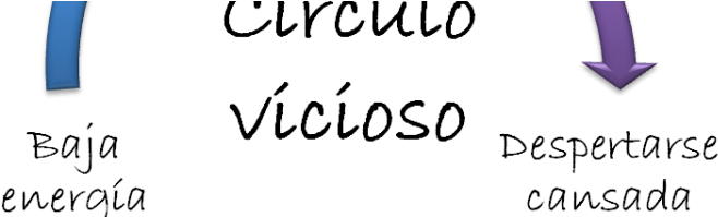 Download Circulo Vicioso - Calligraphy PNG Image with No Background ...