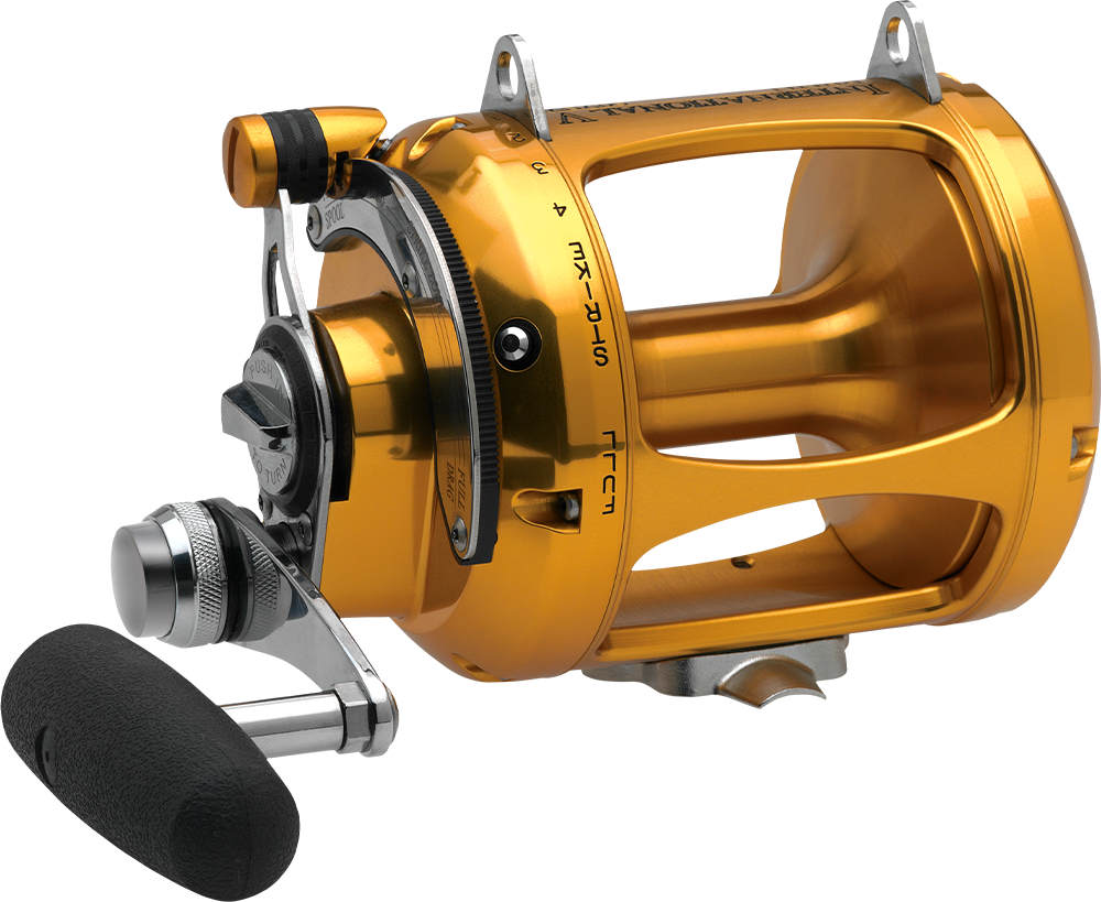 Download Saltwater Fishing Reels, Saltwater Fishing Rods - Penn ...