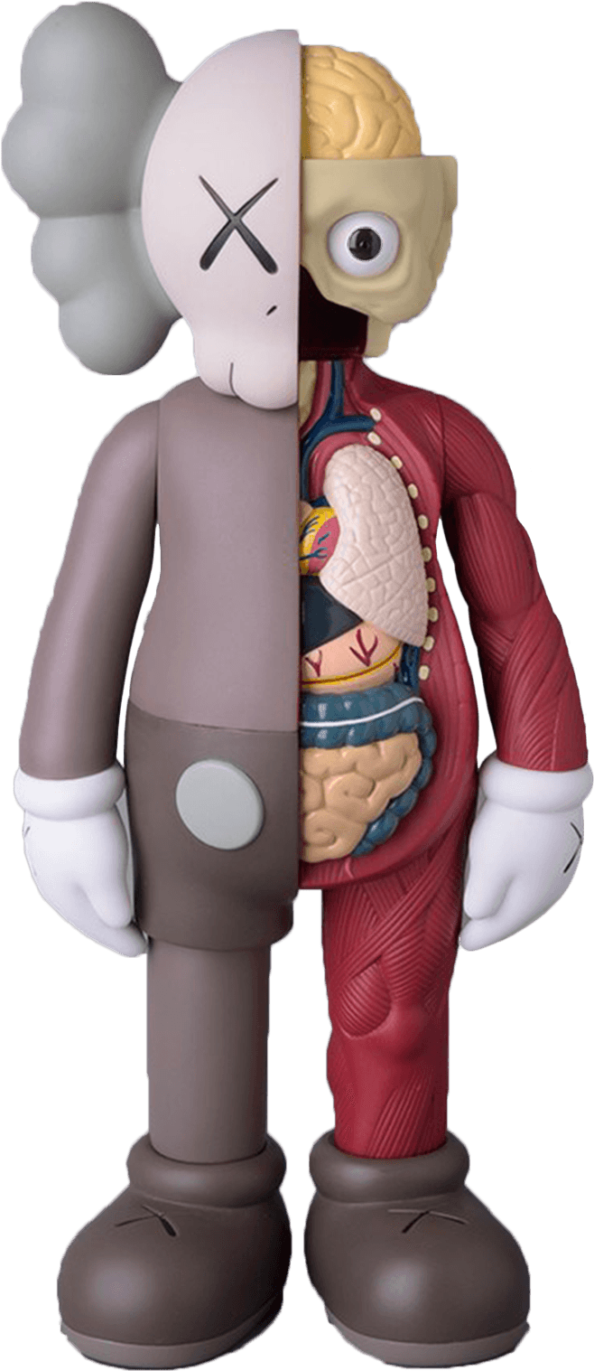 Kaws Companion Flayed Brown Open Edition - Kaws Companion Flayed - Free ...