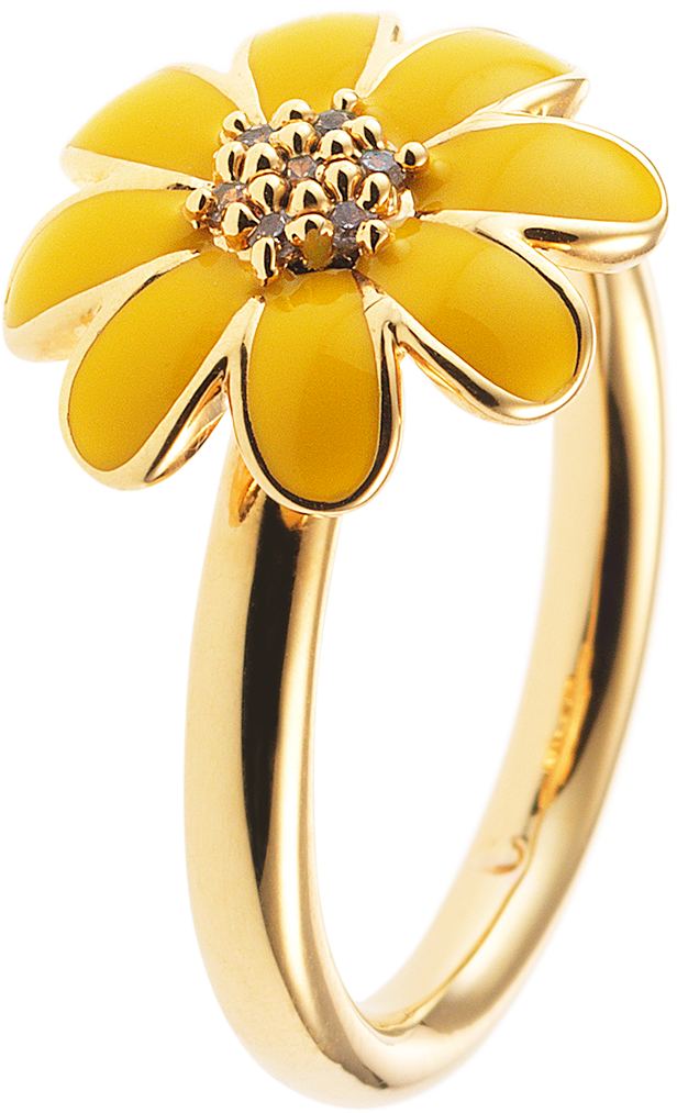 Download Daisy Enamel Ring Yellow - Ring PNG Image with No Background ...