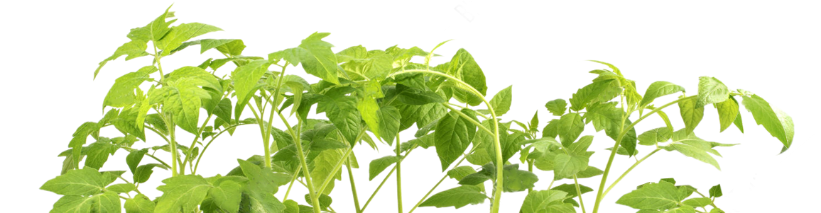 Download Feature Image - Photography PNG Image with No Background ...