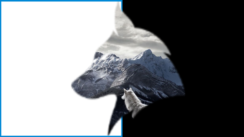 Download Why Wolfman & Co - Wolf Notebook: Glossy Cover PNG Image with ...