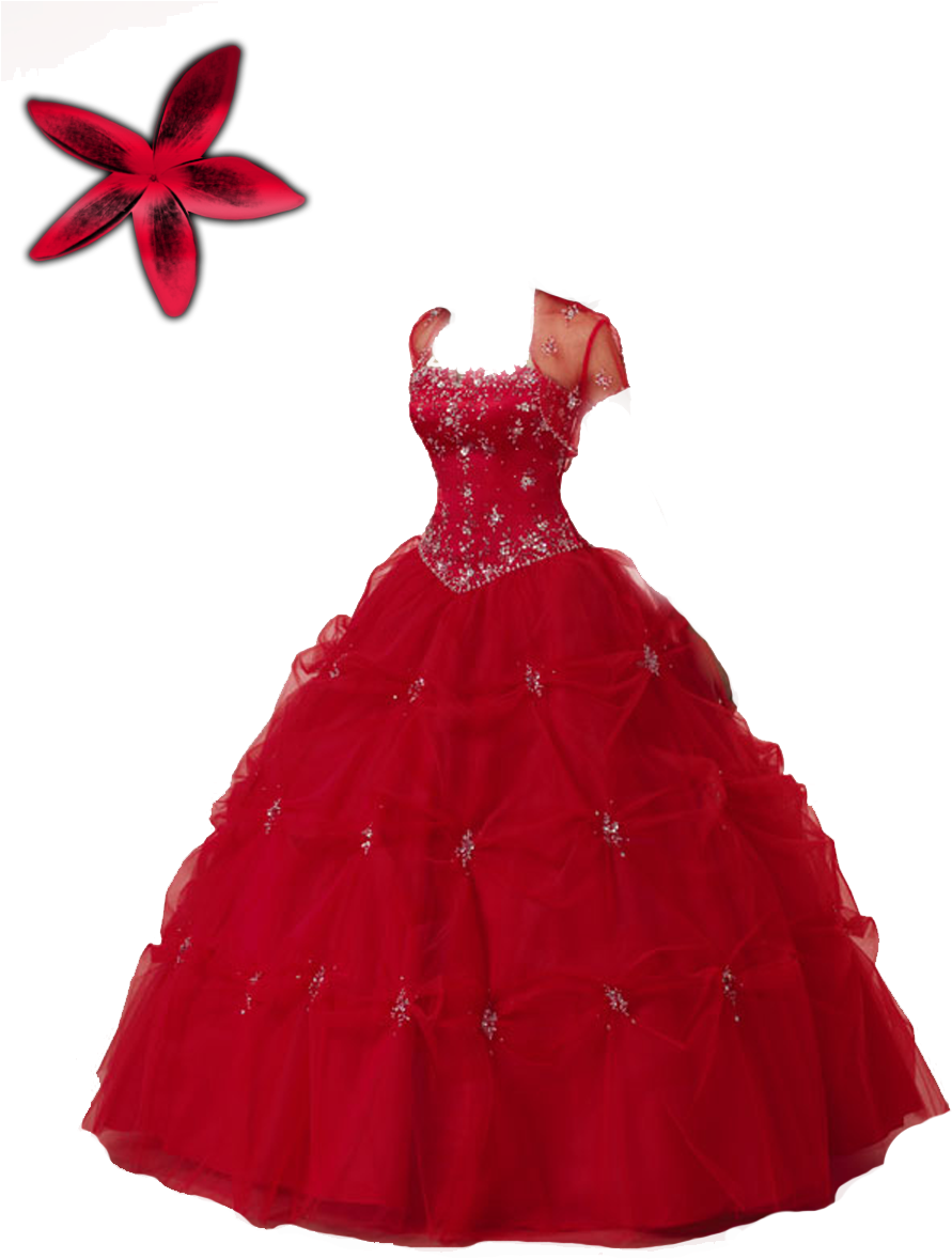 Download Drees S PNG Image with No Background - PNGkey.com
