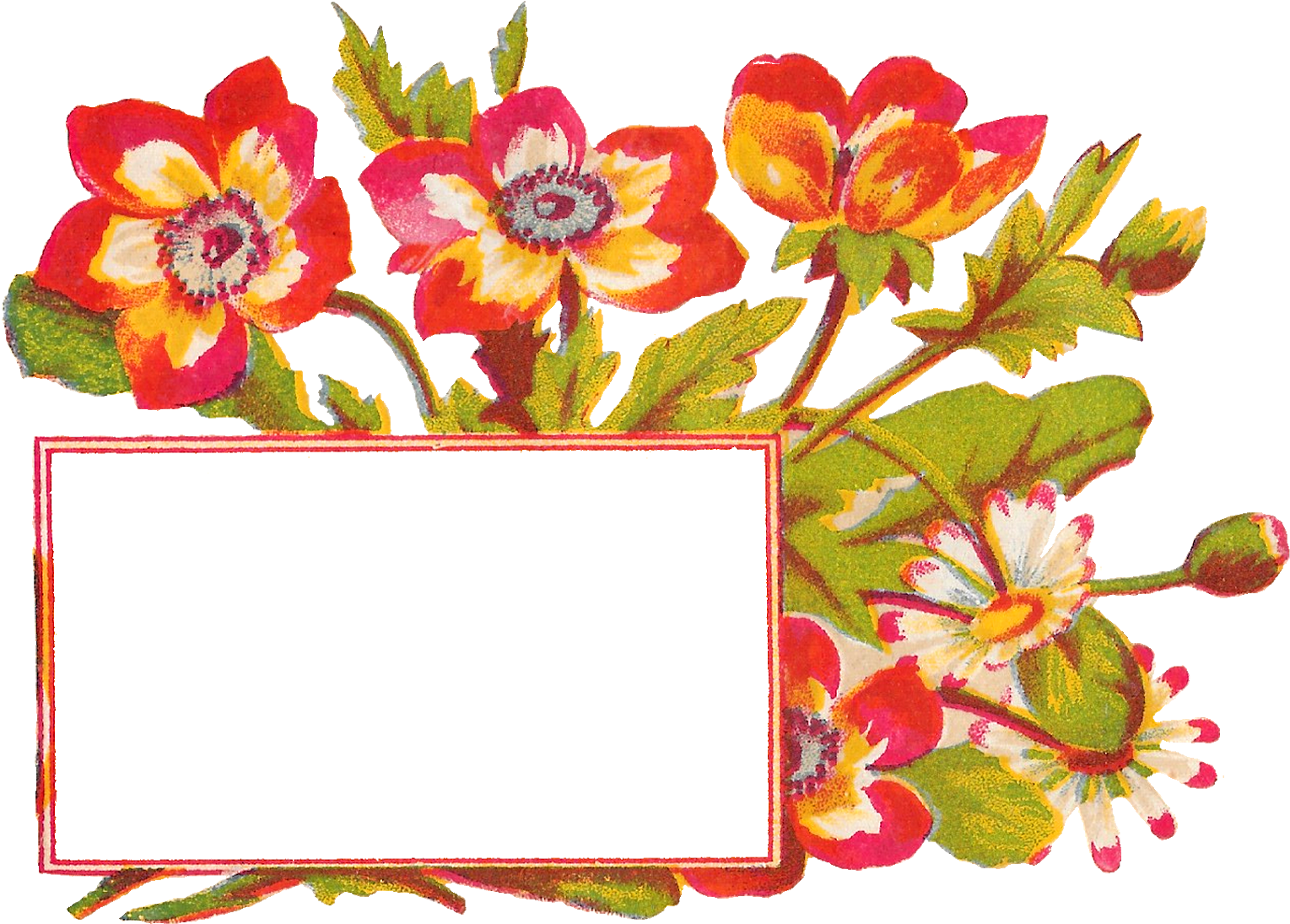 Digital Flower Label Download - Flower Design Label - Free Transparent ...