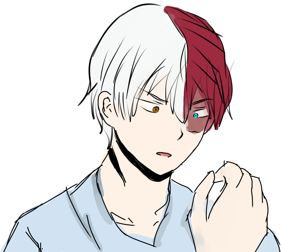 Download Todoroki - Cartoon PNG Image with No Background - PNGkey.com
