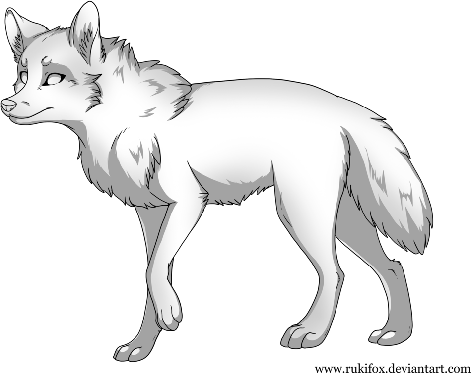 Download Wolf Drawing Template - Wolf PNG Image with No Background ...