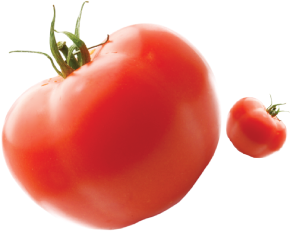 Download Felfel Felfel2 Felfel - Tomato PNG Image with No Background ...