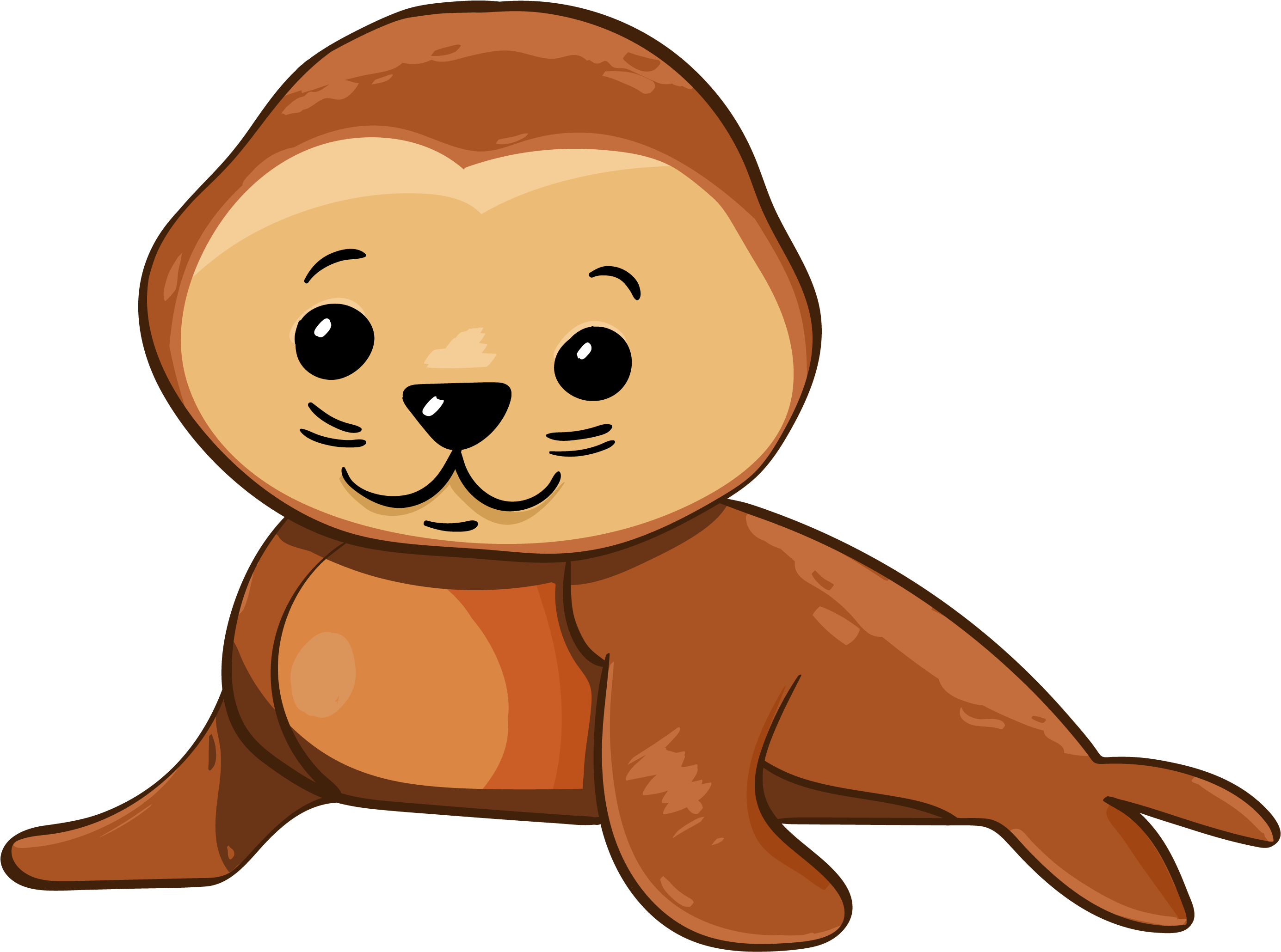 Download Cute Baby Seal - Infant PNG Image with No Background - PNGkey.com