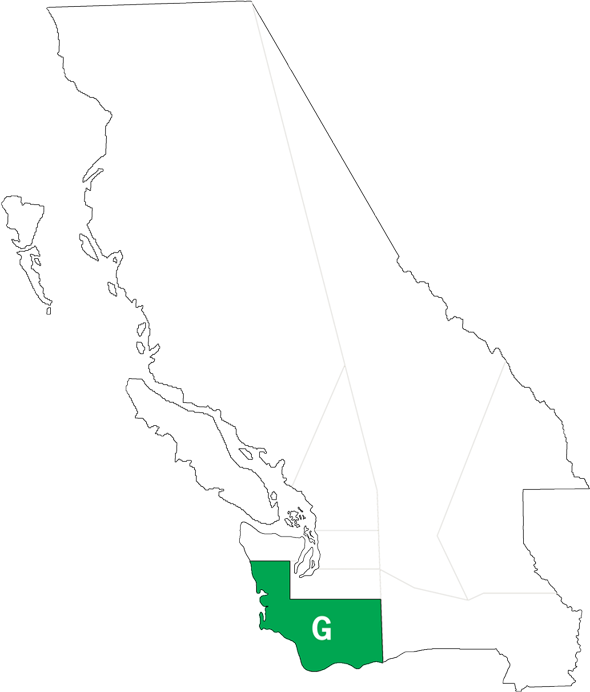 Download Md19 Map Md19 Logo - Document PNG Image with No Background ...