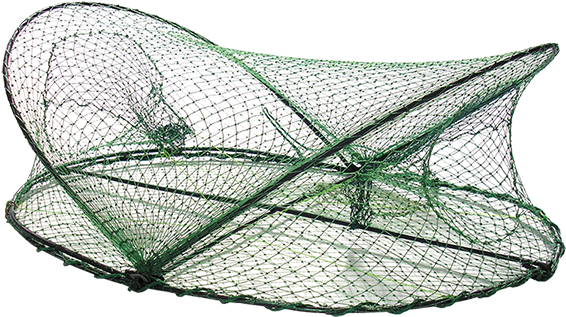 Opera House Net - Opera - Free Transparent PNG Download - PNGkey