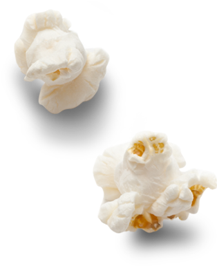 Single Popcorn Kernel