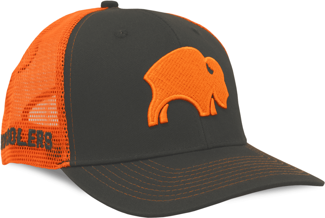 Download Bison Cap PNG Image with No Background - PNGkey.com