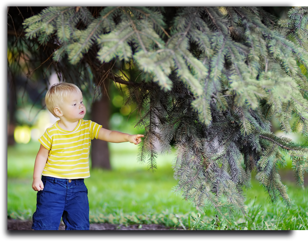 Download Placeholder Image - Green Tree Nursery & Storage PNG Image ...