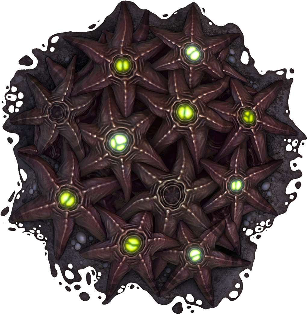 Starfish Cluster - Wiki - Free Transparent PNG Download - PNGkey