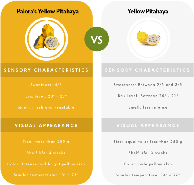 Download Info2 En - Portable Network Graphics PNG Image with No ...