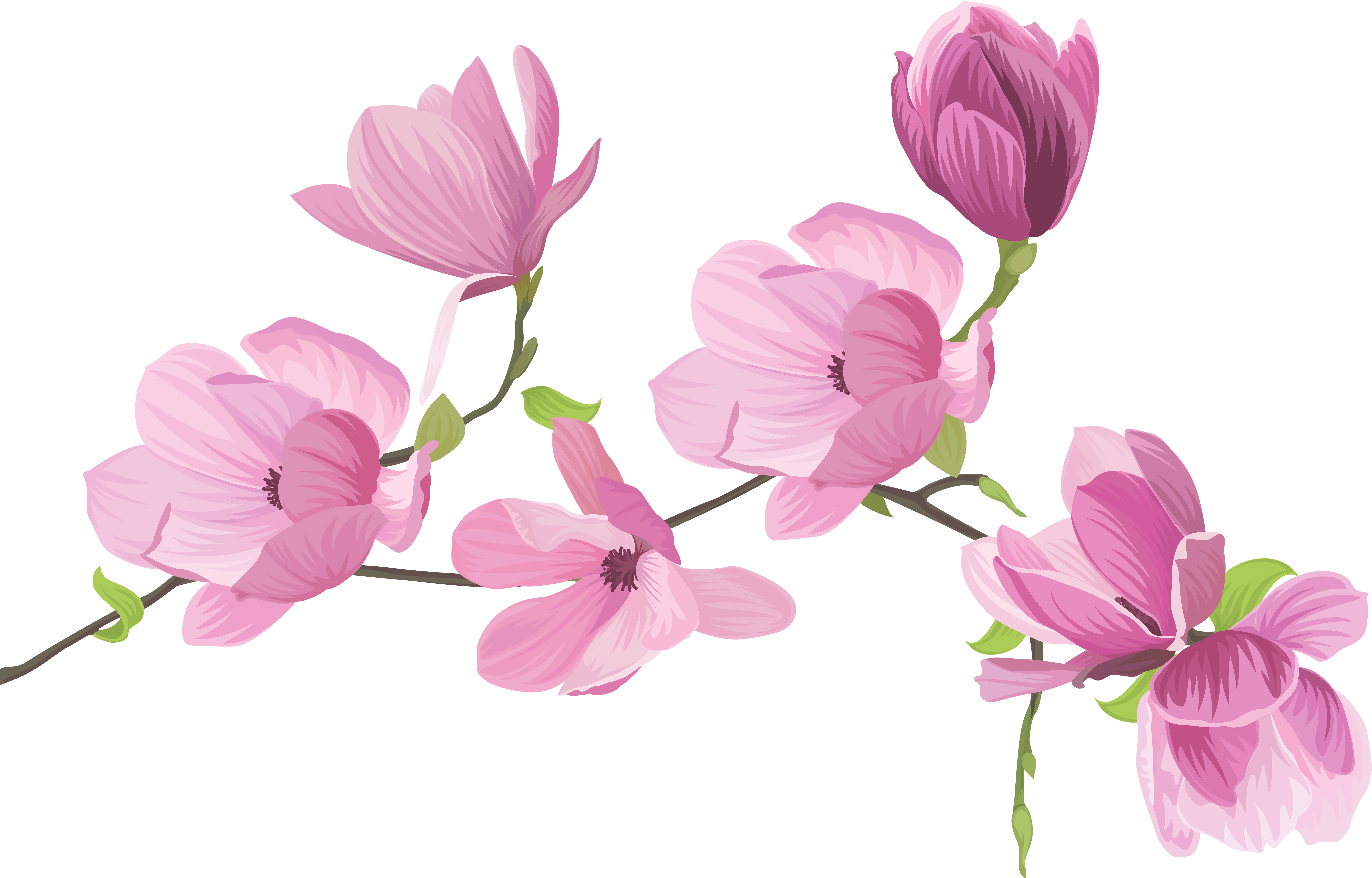 Spring Flowers Png Clip - Clip Art Sweet Pea Flower - Free Transparent ...