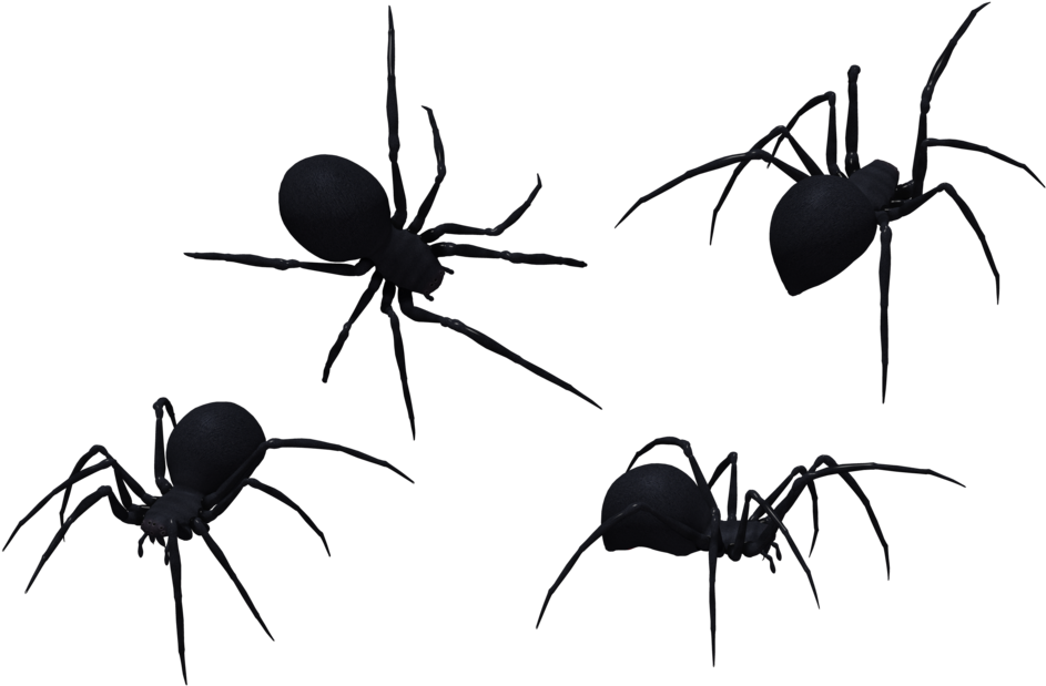 Download Black Spider Png High-quality Image - Black Spiders Png PNG ...