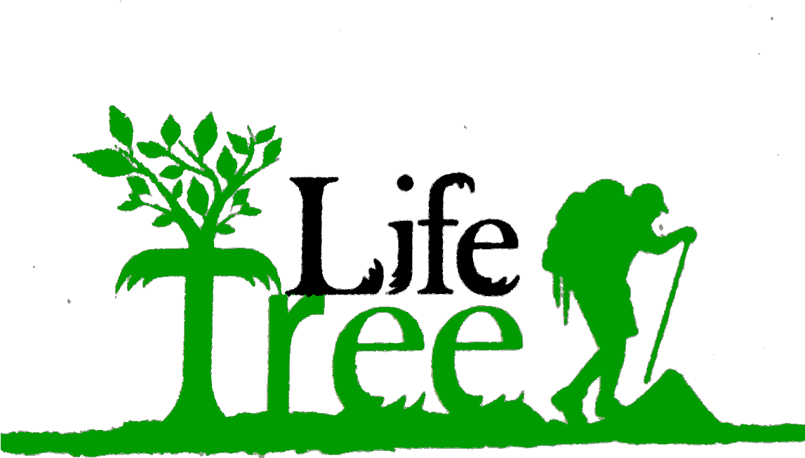 Download Tree Life PNG Image with No Background - PNGkey.com