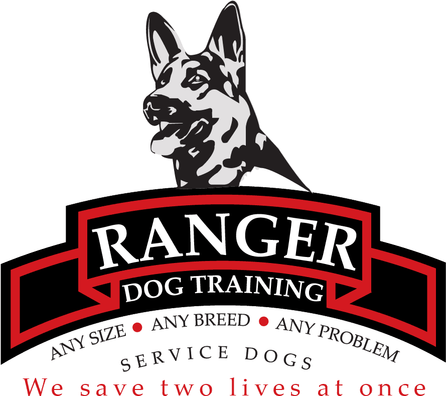 Download Image - Army Ranger 3rd Battalion Logo PNG Image with No ...