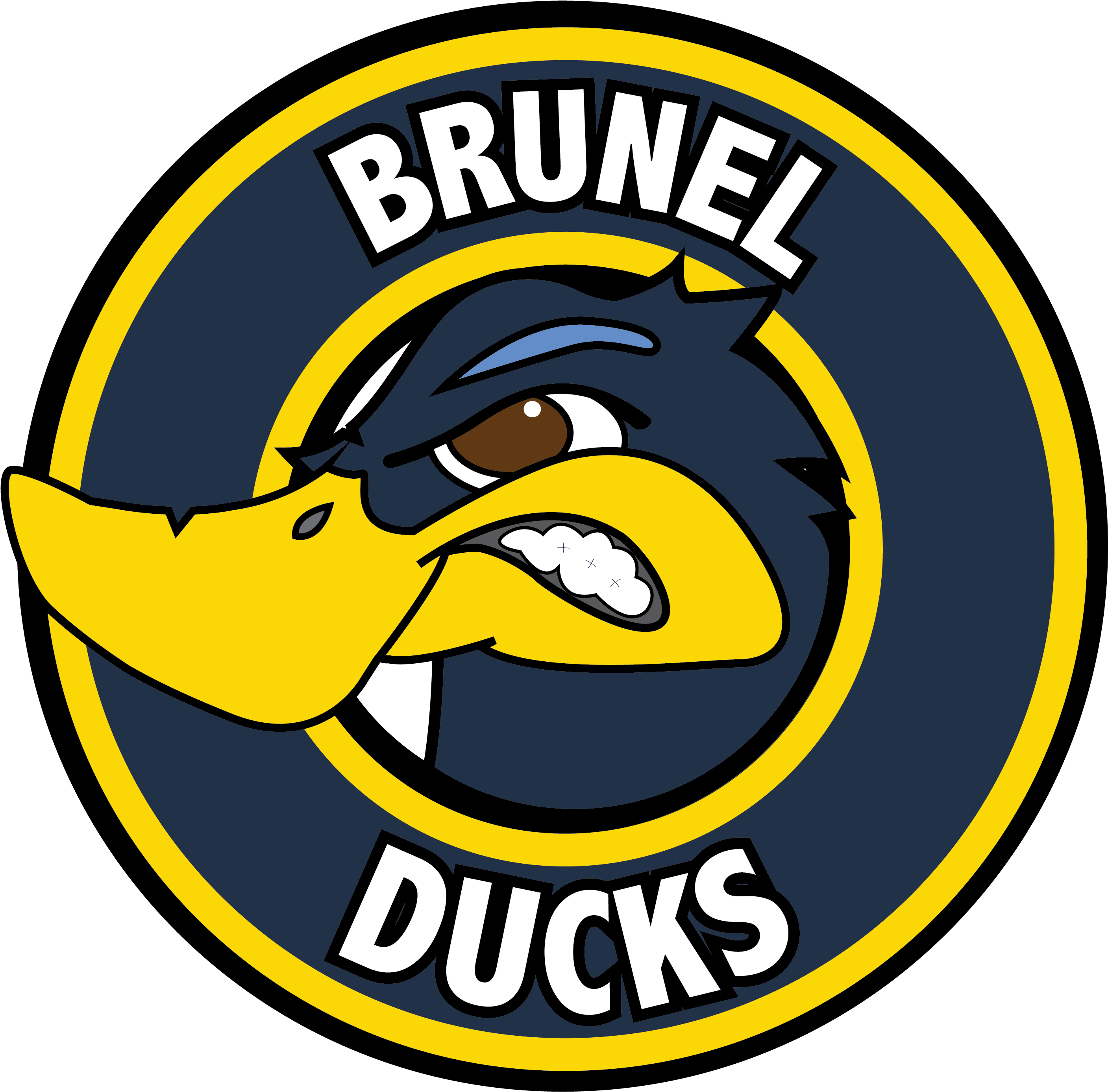 Download Thunder Ducks PNG Image with No Background - PNGkey.com