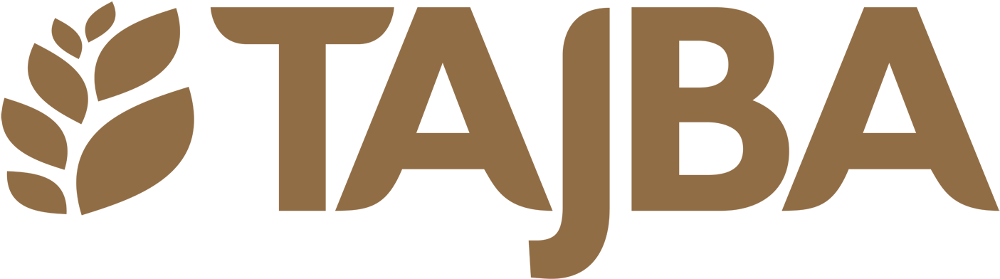 Tajba Logo 1500 X 487 Transparent Background - Web Tasarım Logo Png ...