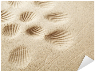 Sandy Beach Background For Summer - Sand - Free Transparent PNG ...