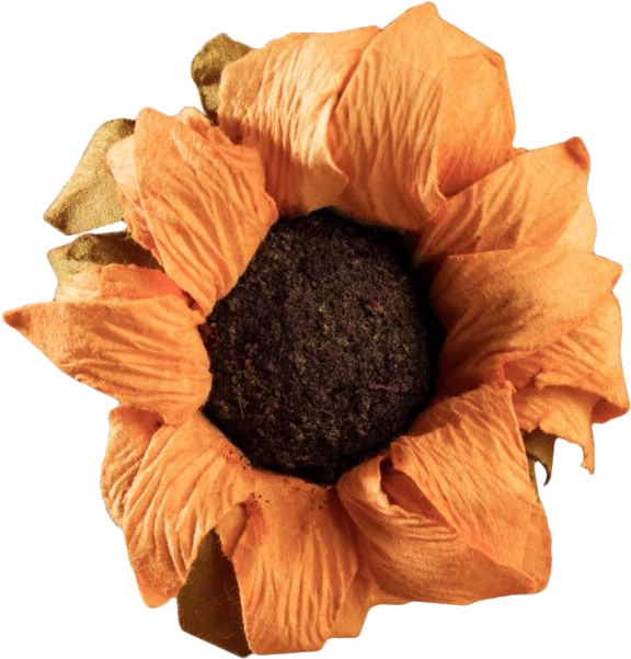 Sticker Sunflower Yellow Aesthetic Vintage Arthoe Flower - Vintage ... Sticker Sunflower Yellow Aesthetic Vintage Arthoe Flower - Vintage ...