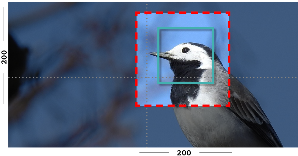 Example Of Fill And Closeness Filter On An Image With - Woodpecker ...